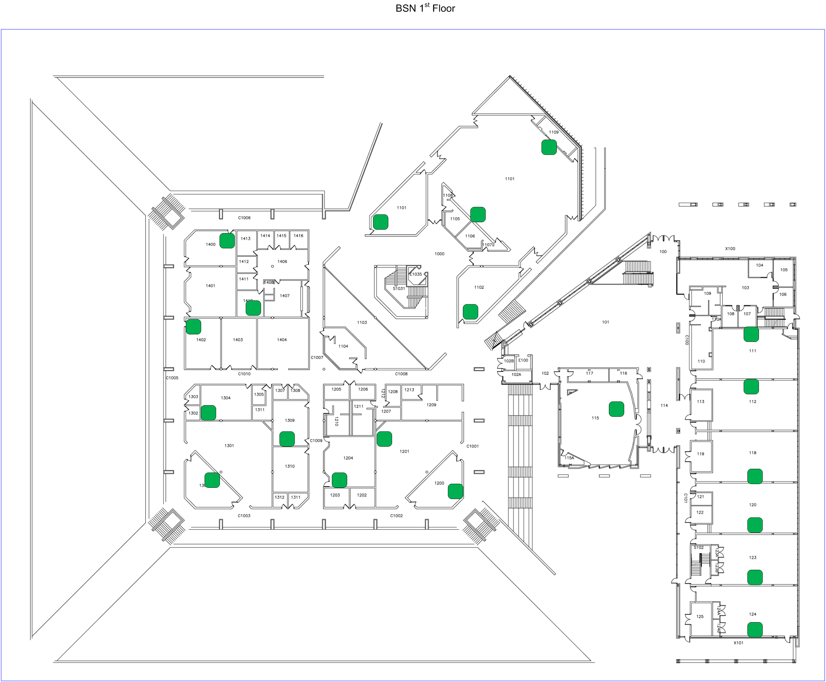 USF Information Technology